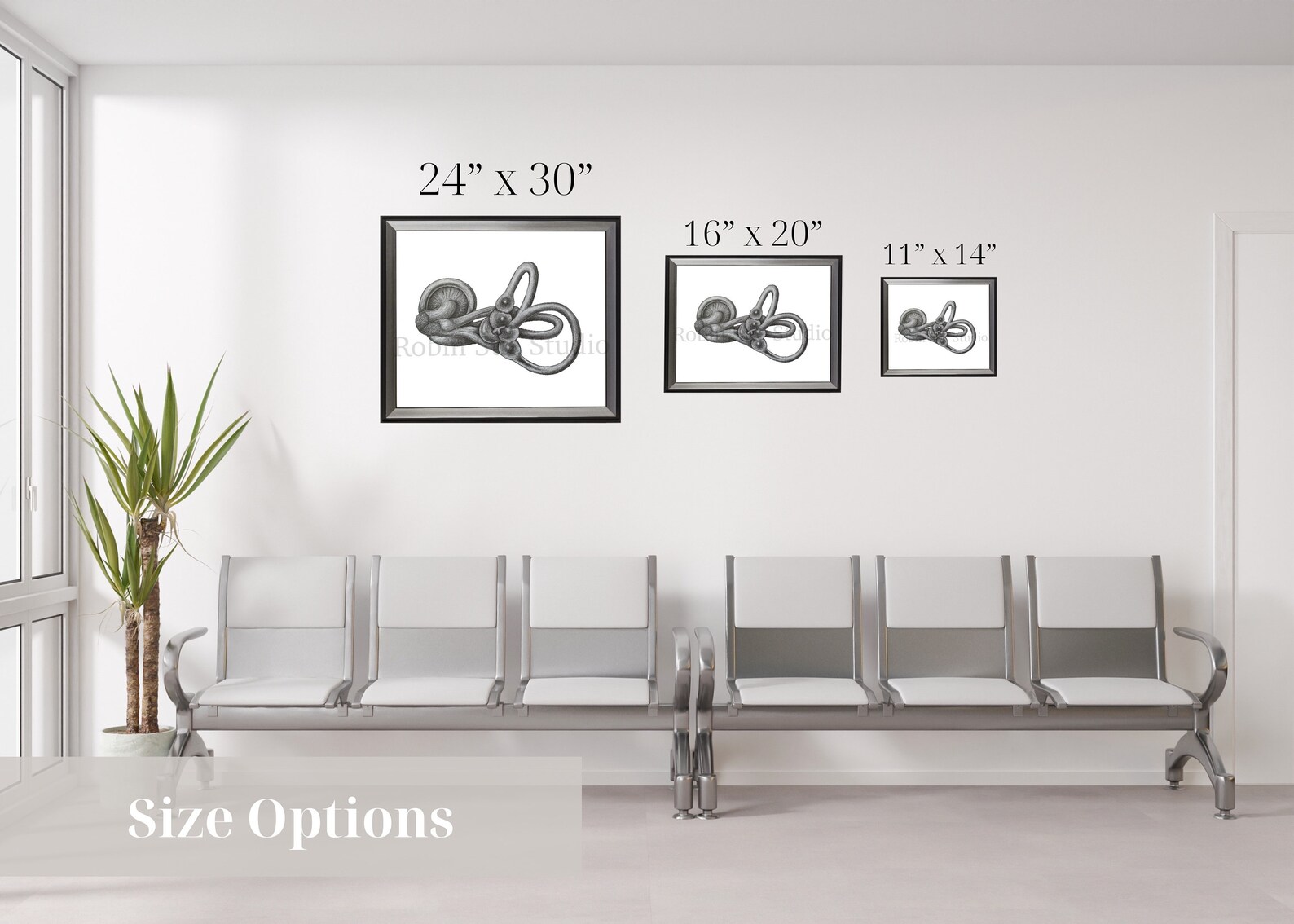 Vestibular Anatomy Poster Vestibular Art for ENT Office Wall Art ...