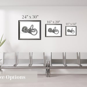 Vestibular Anatomy Poster Vestibular Art for ENT Office Wall Art ...