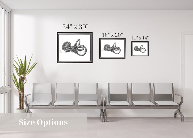 Vestibular Anatomy Poster Vestibular Art for ENT Office Wall Art ...
