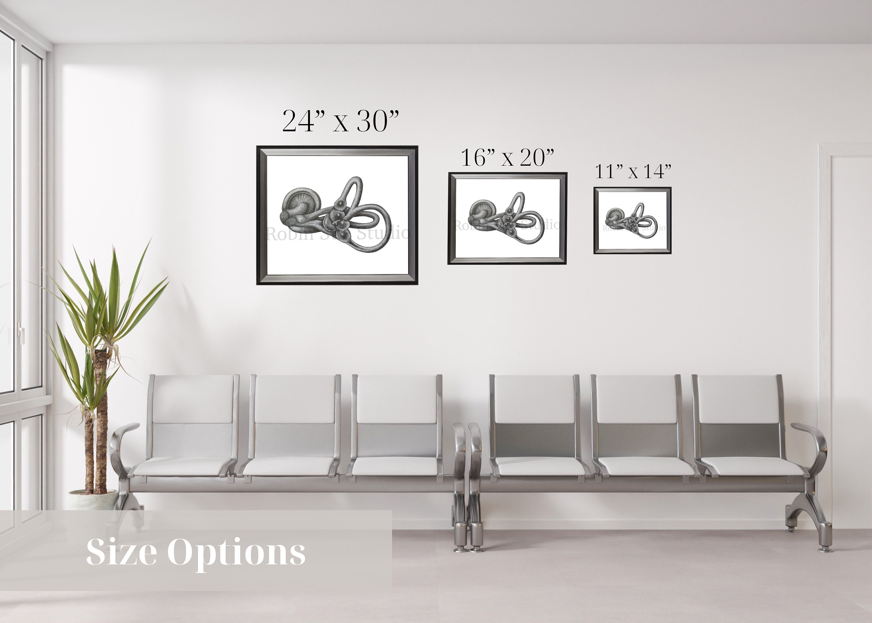 Vestibular Anatomy Poster Vestibular Art for ENT Office Wall Art ...