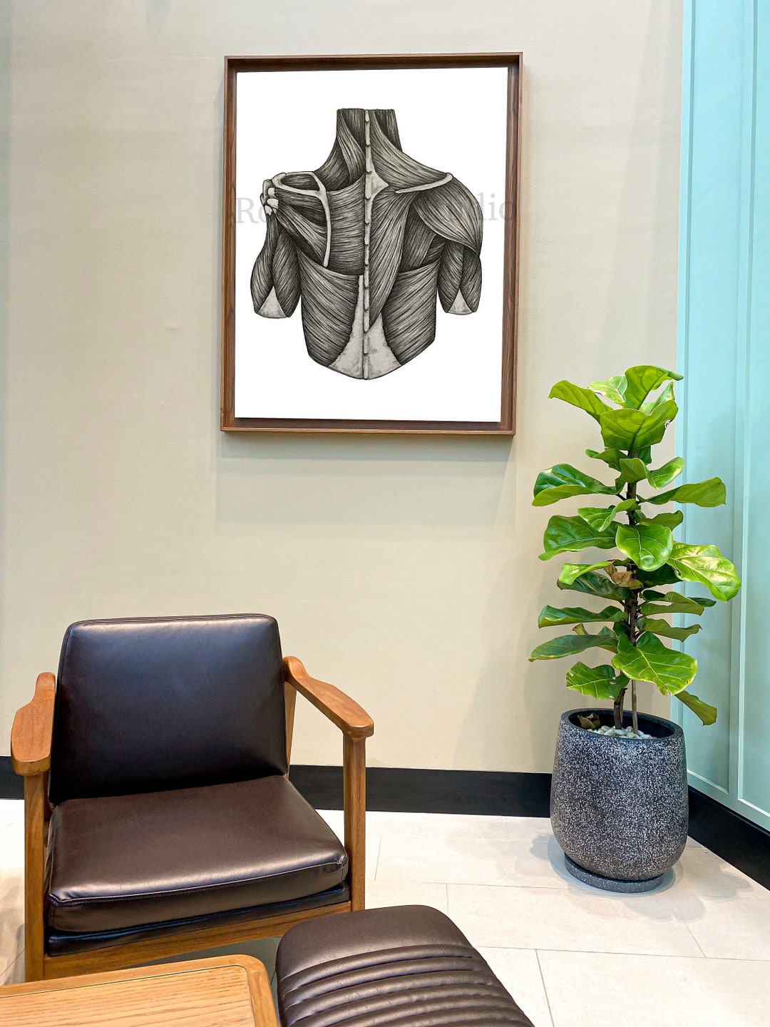 Back Muscle Poster for Gym Wall Art for Gym Decor Anatomy Poster ...