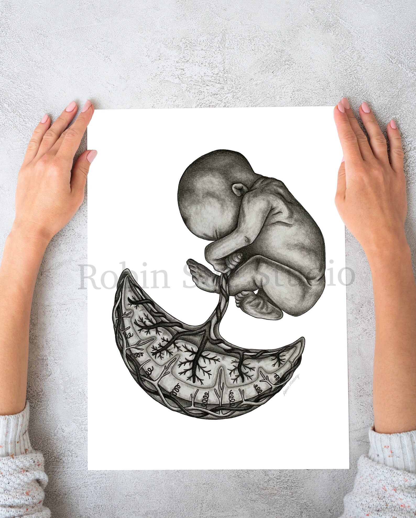 Placenta Art for OBGYN Gift for Midwife Gift for Doula Gift for Labor ...