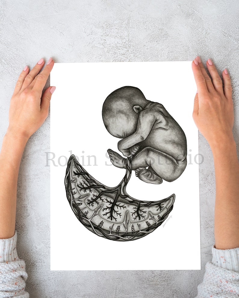 Placenta Art for OBGYN Gift for Midwife Gift for Doula Gift for Labor ...
