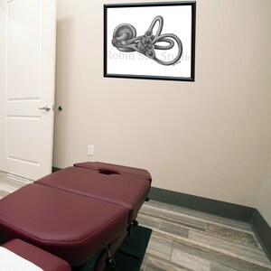 Vestibular Anatomy Poster Vestibular Art for ENT Office Wall Art ...