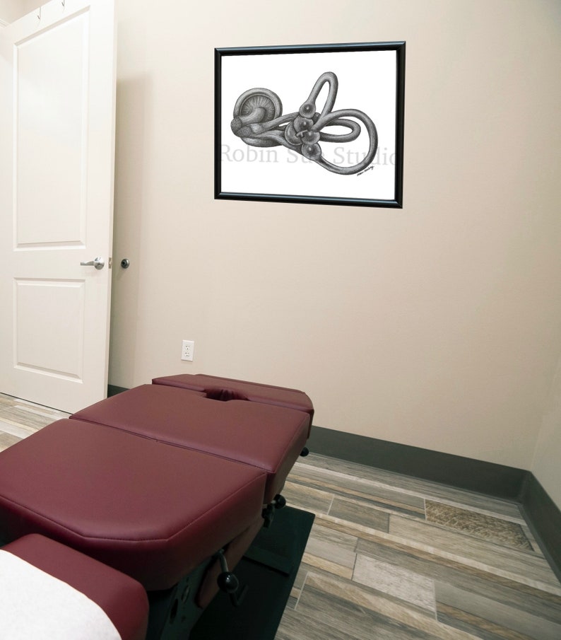 Vestibular Anatomy Poster Vestibular Art for ENT Office Wall Art ...