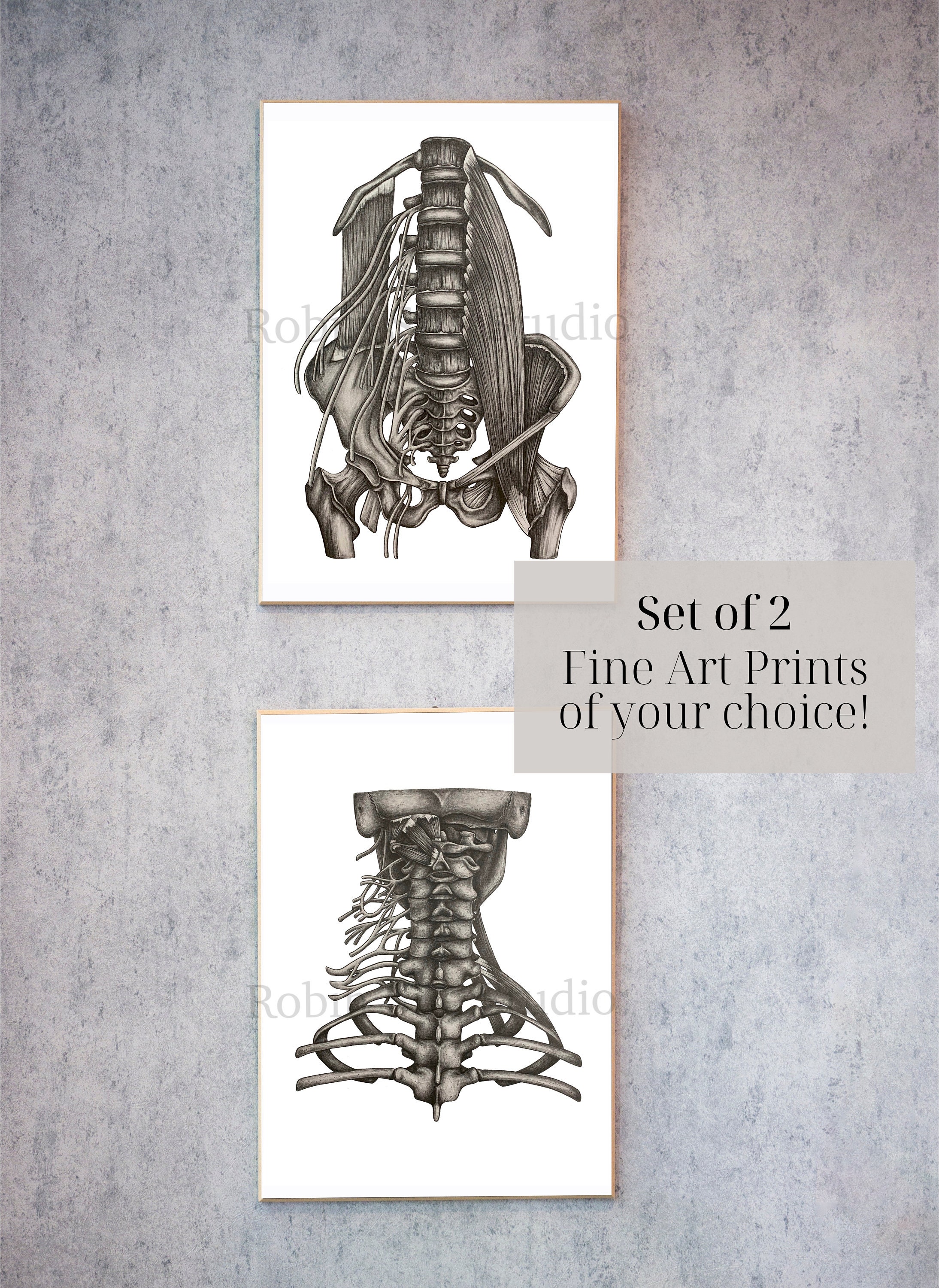 Anatomy Art Print Bundle Custom Art Bundle Pack of Two Art Print Set of ...