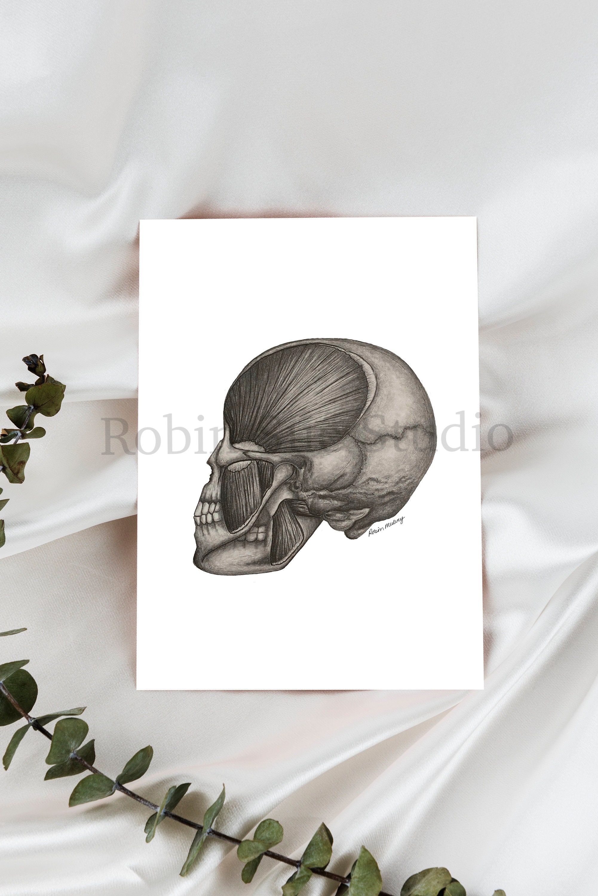 Anatomy Art TMJ Anatomy Gift for ENT Office Decor Medical Art Gift for ...