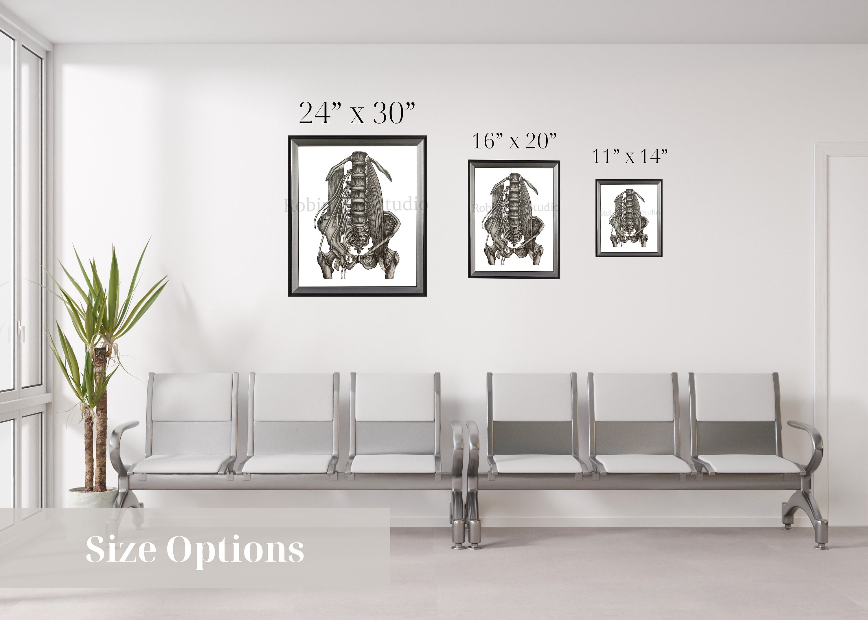 Custom Set of Three Anatomy Poster Bundle Custom Poster Set You Pick ...