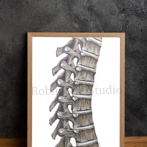 Spine Anatomy Poster Medical Decor for Doctor Office Decor for Waiting ...