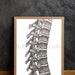 Spine Anatomy Poster Medical Decor for Doctor Office Decor for Waiting ...