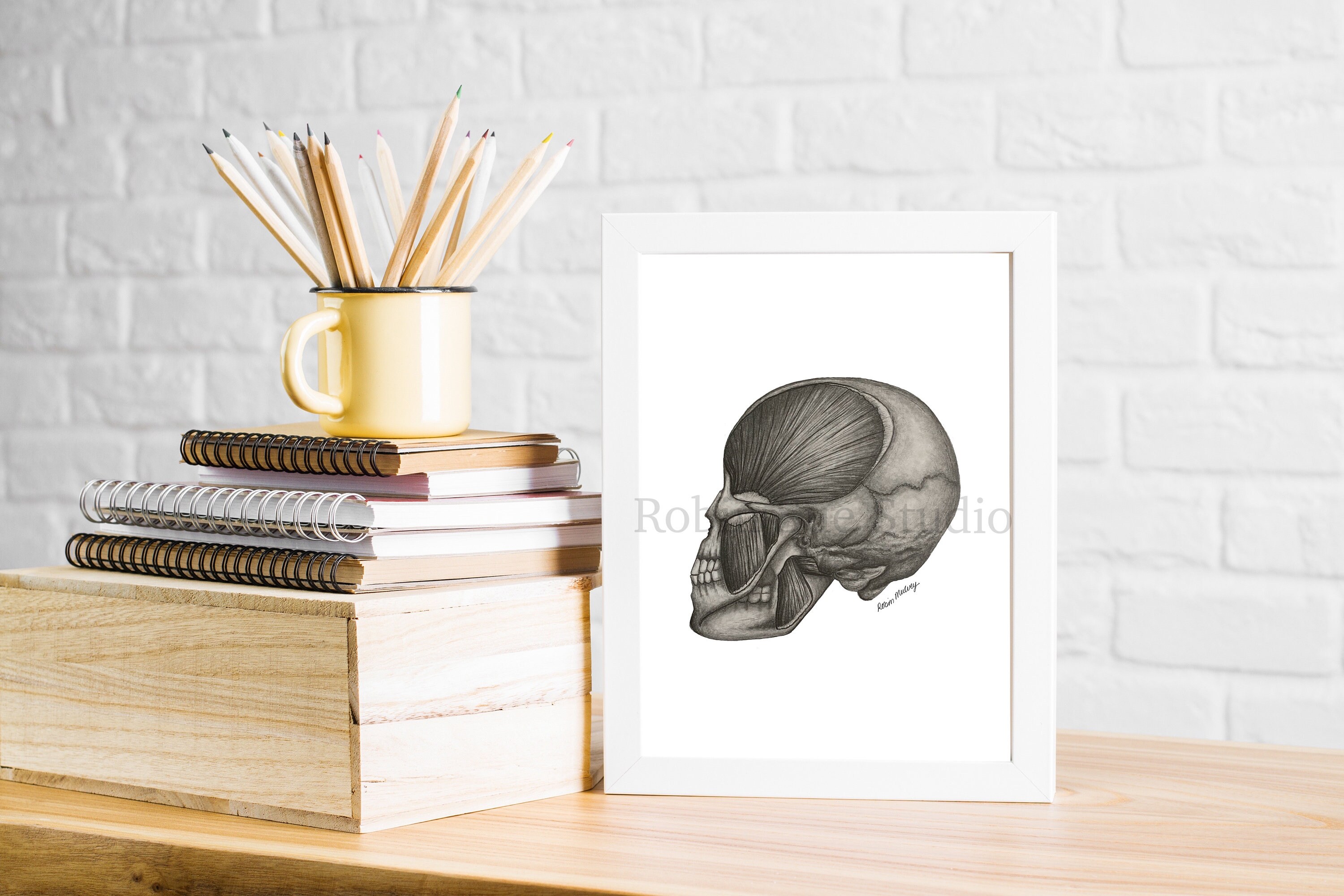 Anatomy Art TMJ Anatomy Gift for ENT Office Decor Medical Art Gift for ...