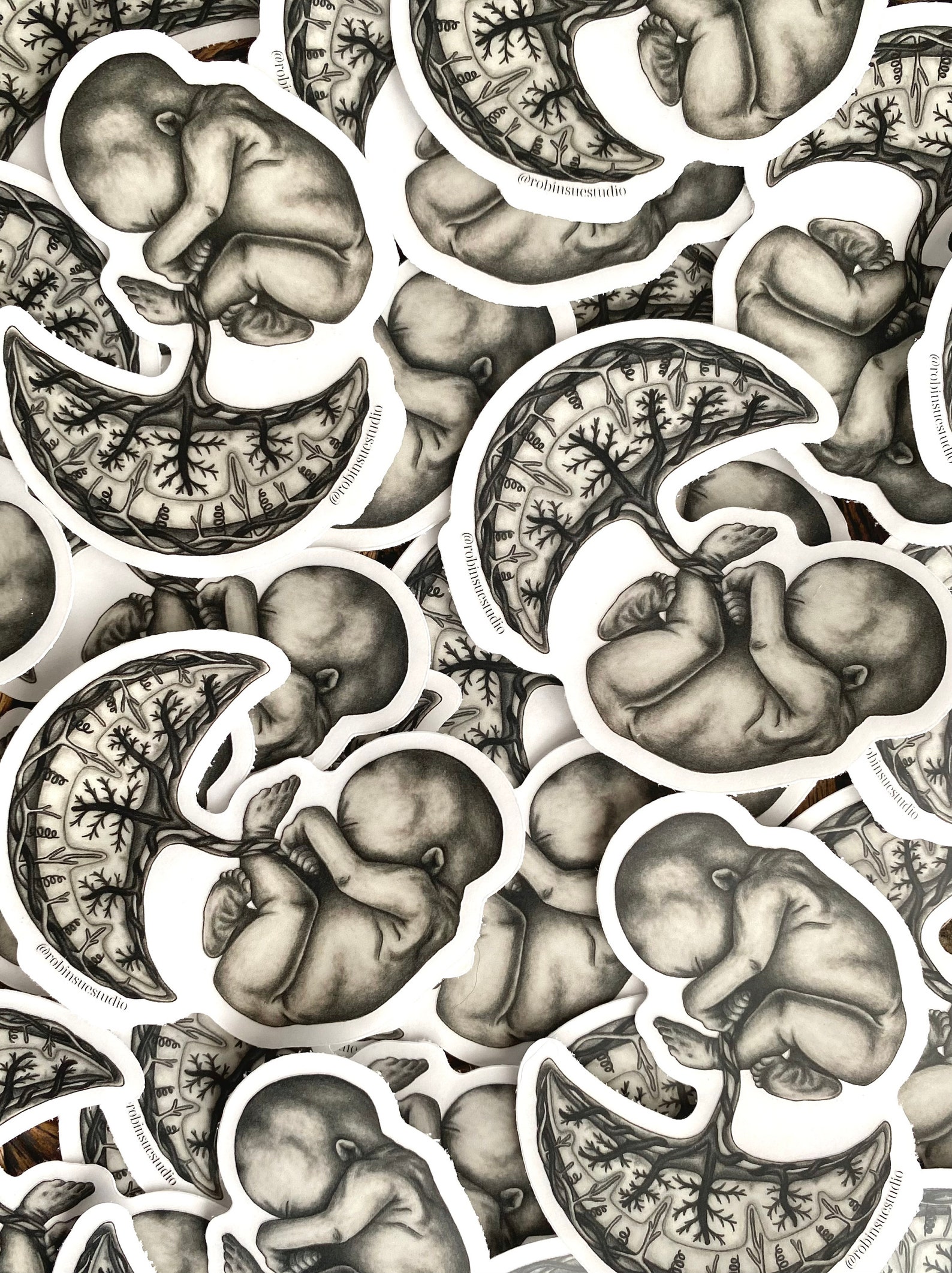 Midwife Gift Newborn Art Placenta Anatomy Sticker for OBGYN Sticker ...