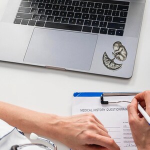 Midwife Gift Newborn Art Placenta Anatomy Sticker for OBGYN Sticker ...