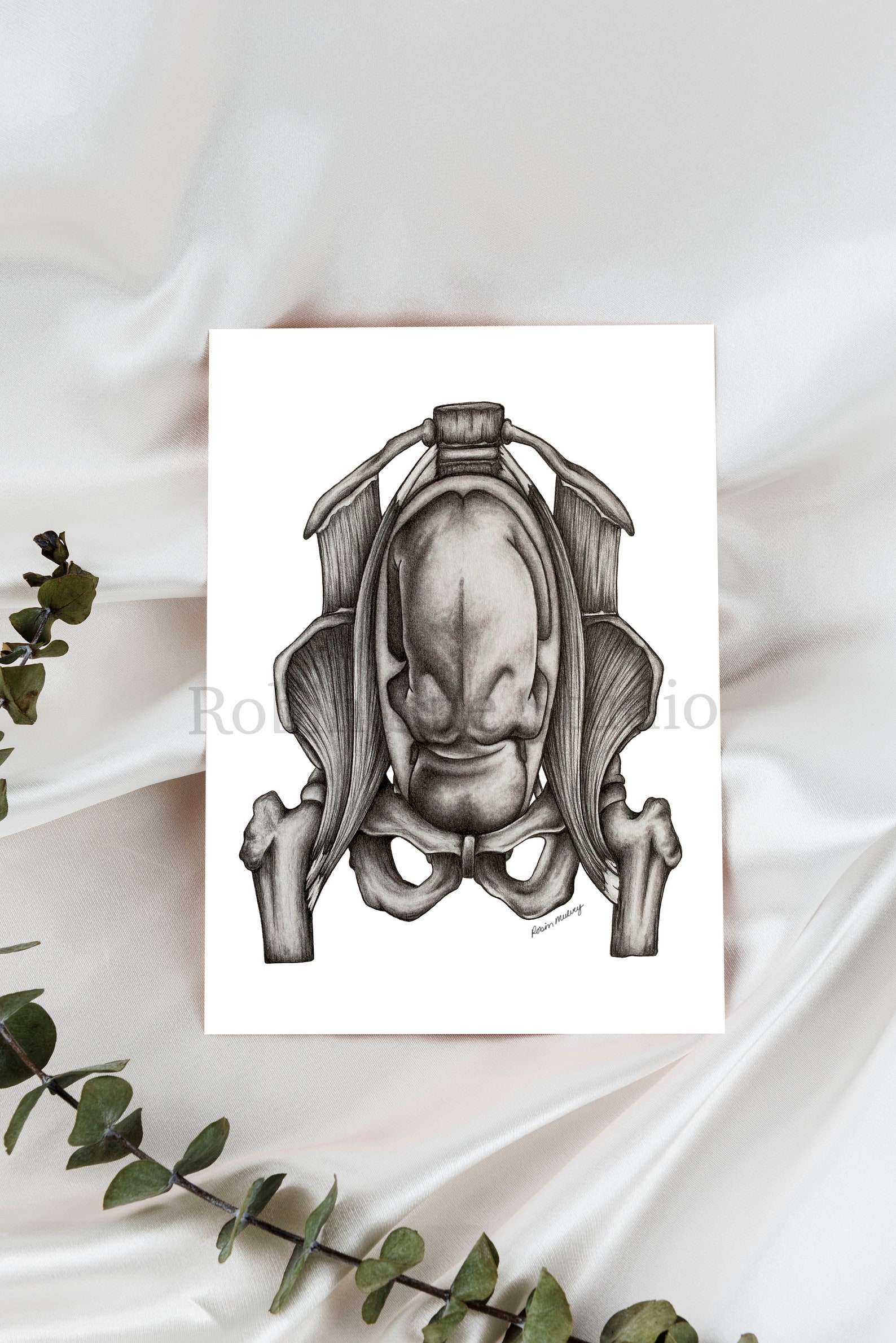 Pregnancy Art for Midwife Art for Doula Gift Pregnancy Anatomy Art for ...
