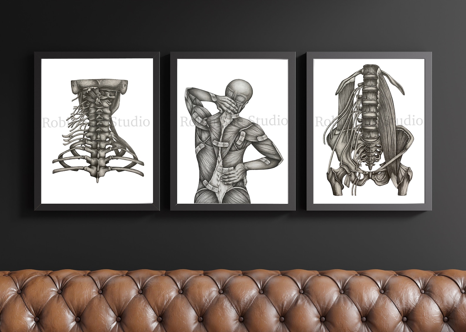 Anatomy Poster for Pain Clinic Wall Art for Chiropractor Office Wall ...