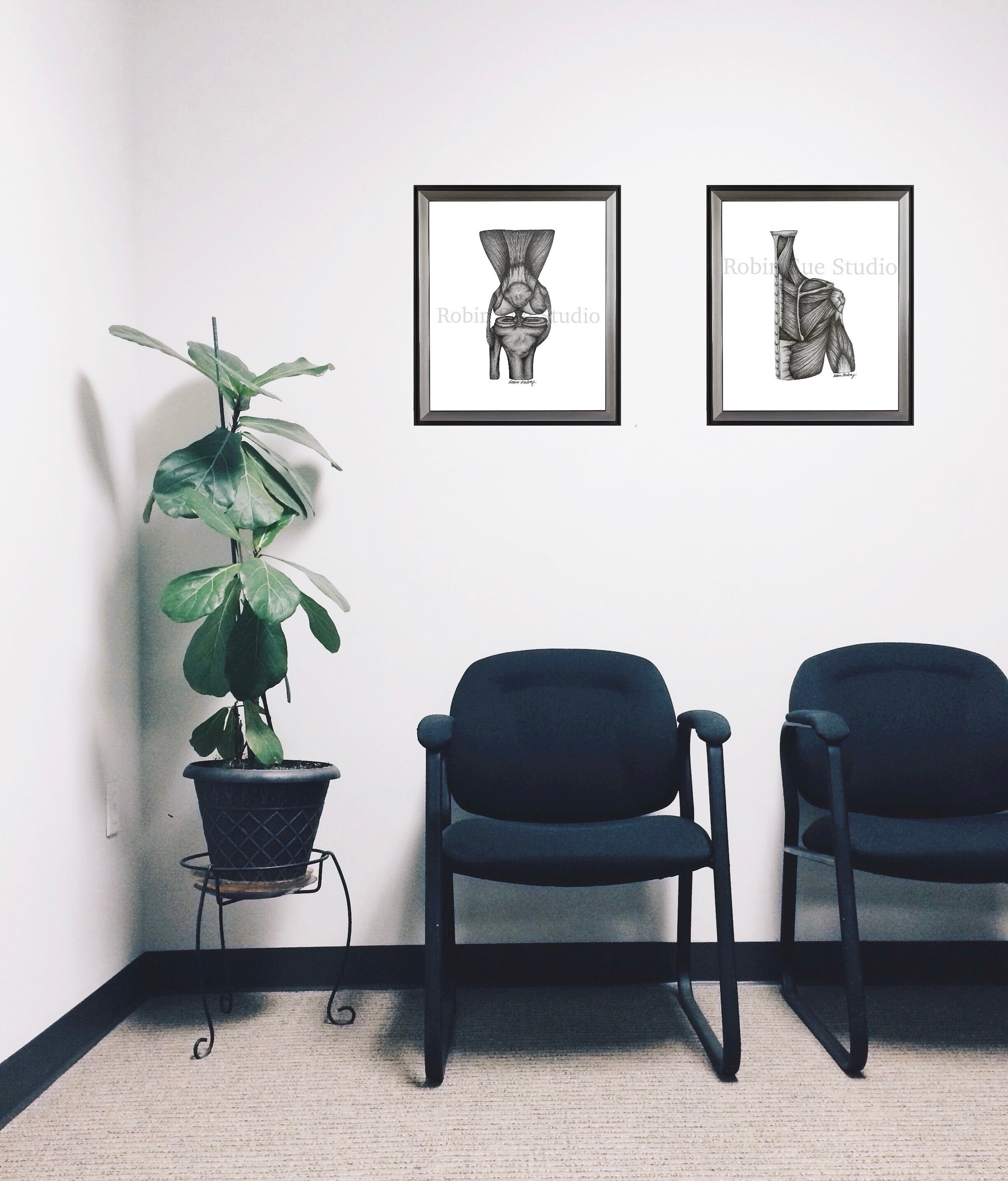 Anatomy Art Knee Anatomy Decor for Doctor Office Decor Anatomy Gift for ...