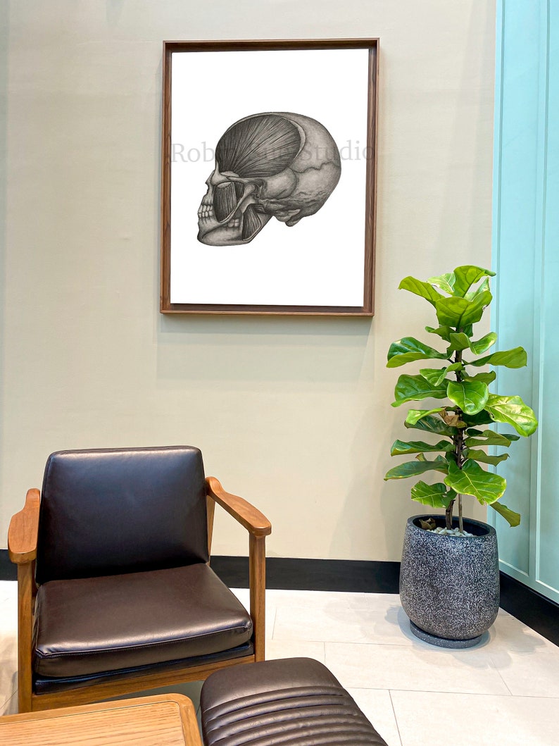 Anatomy Poster TMJ Anatomy Art for ENT Office Decor Medical Poster for ...