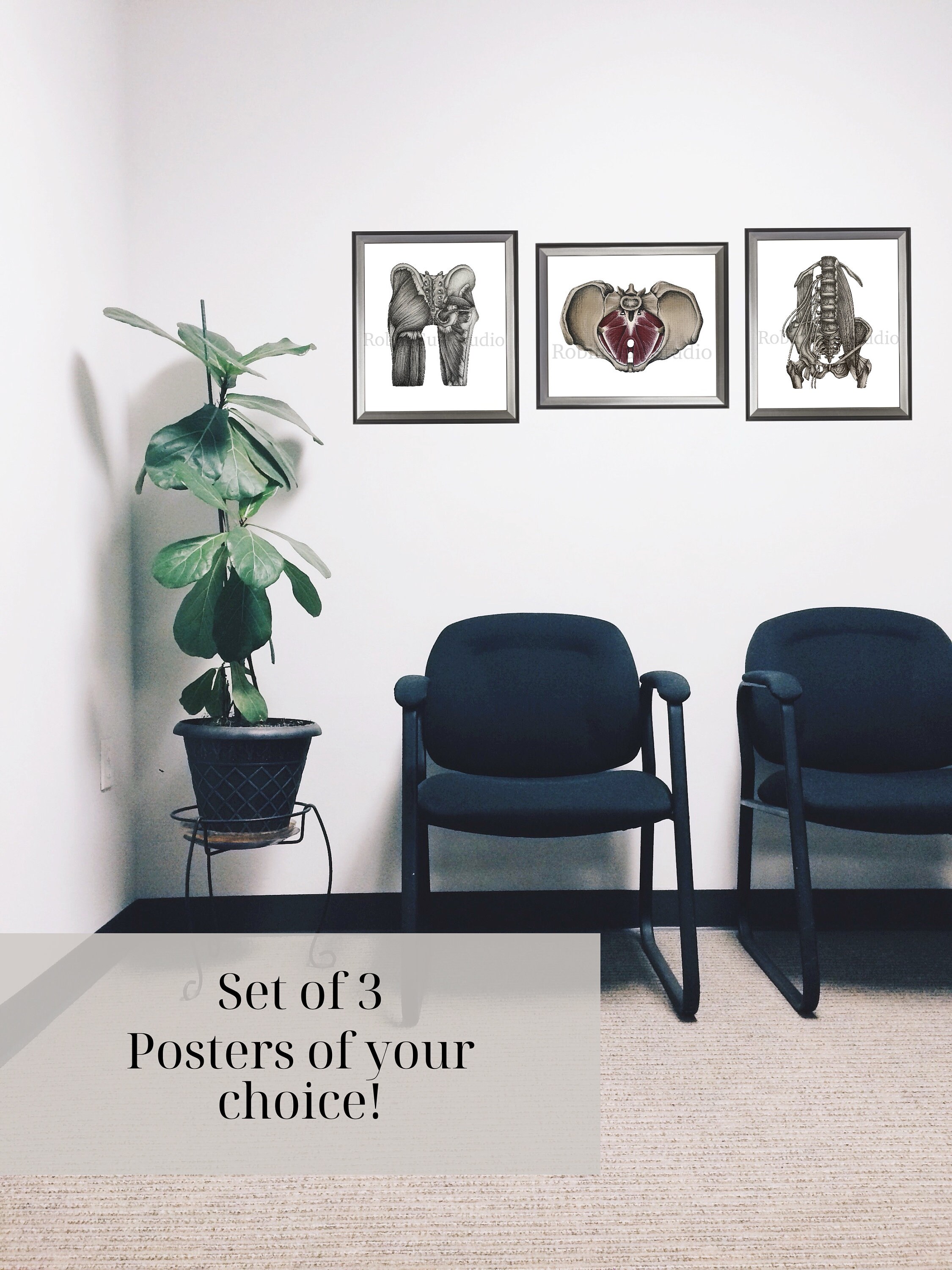 Custom Set of Three Anatomy Poster Bundle Custom Poster Set You Pick ...