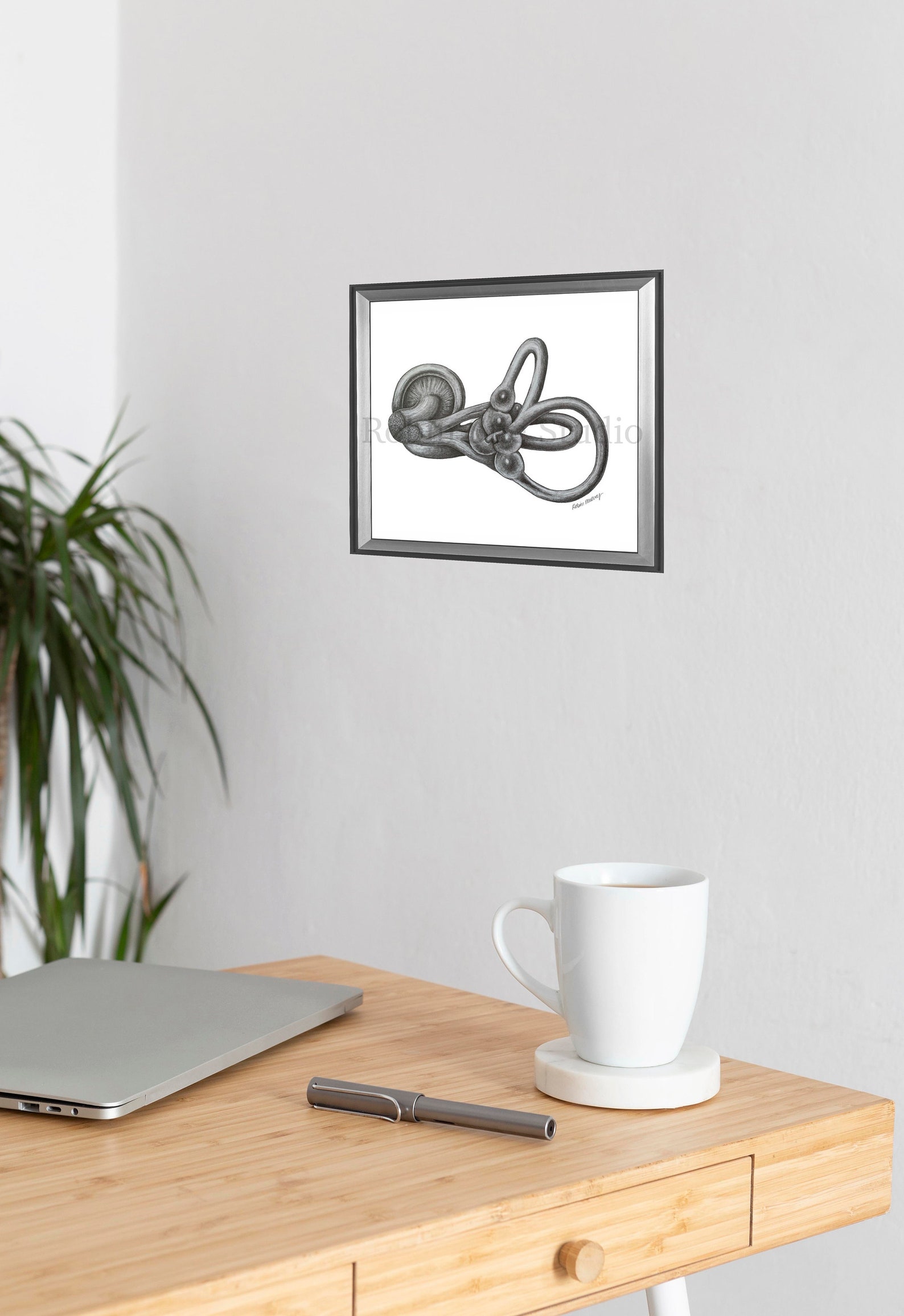 Vestibular Anatomy Poster Vestibular Art for ENT Office Wall Art ...