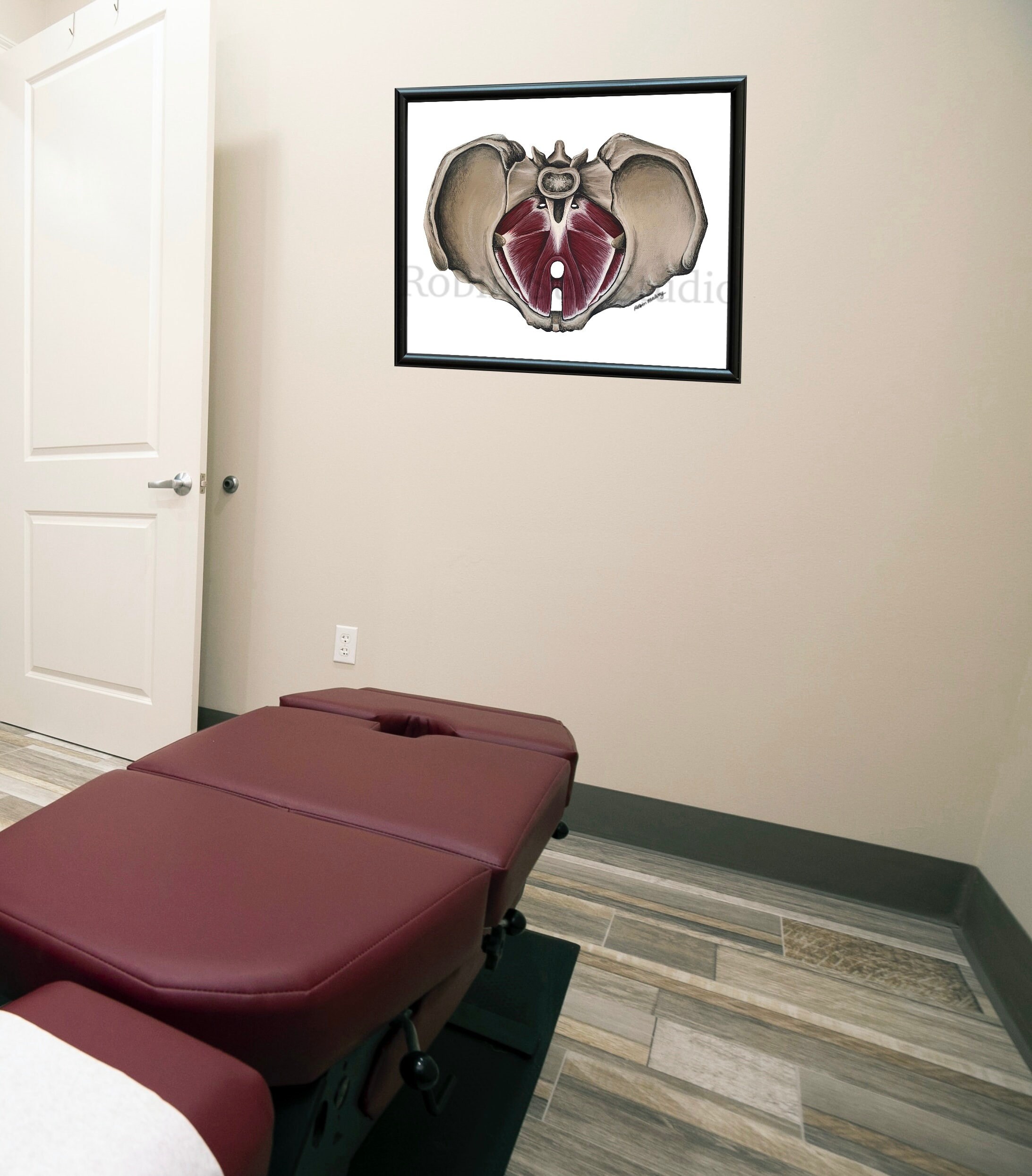 Pelvic Floor Poster for Womens Health Clinic Decor Pelvic Floor Anatomy ...