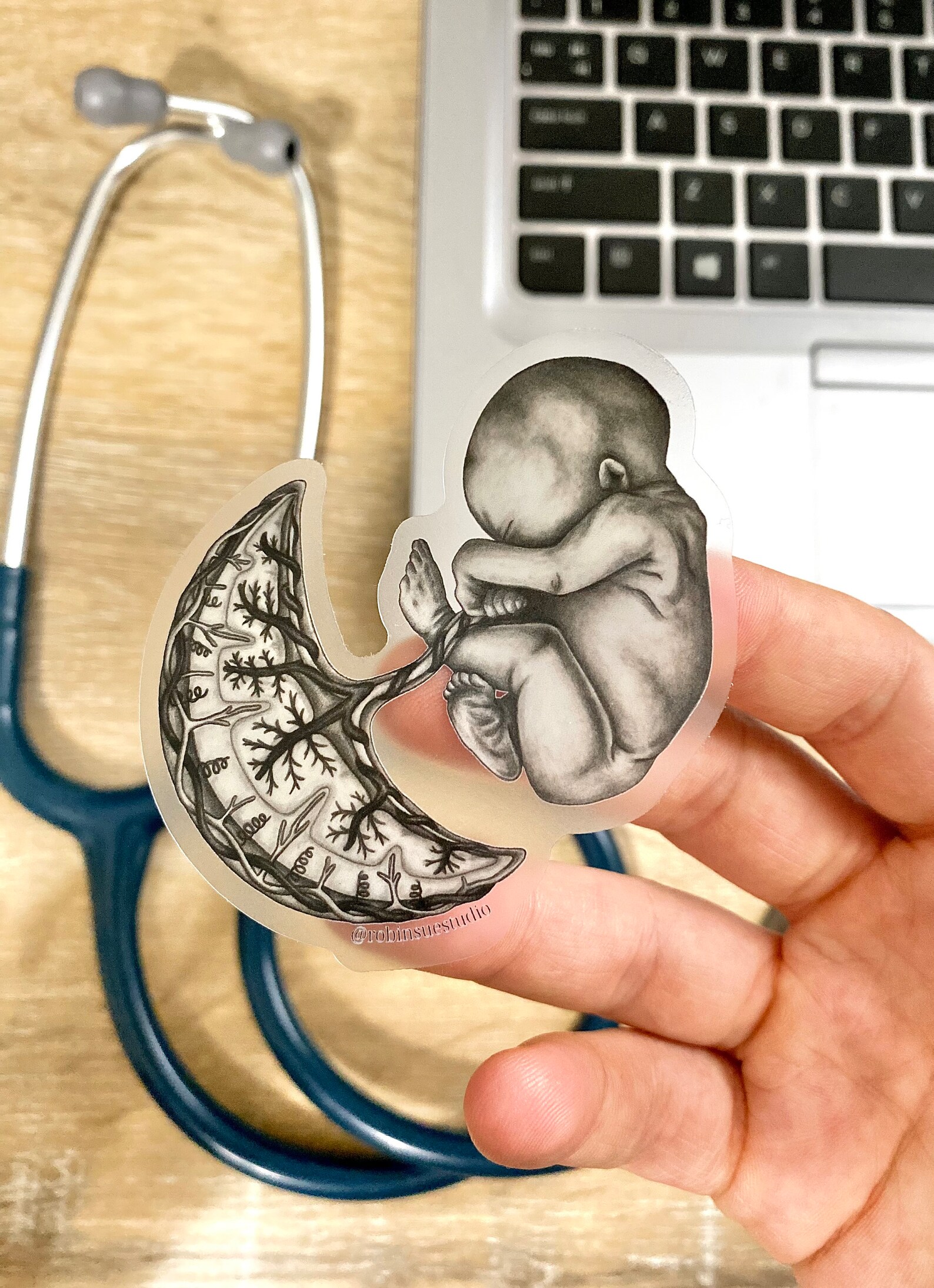 Midwife Gift Newborn Art Placenta Anatomy Sticker for OBGYN Sticker ...
