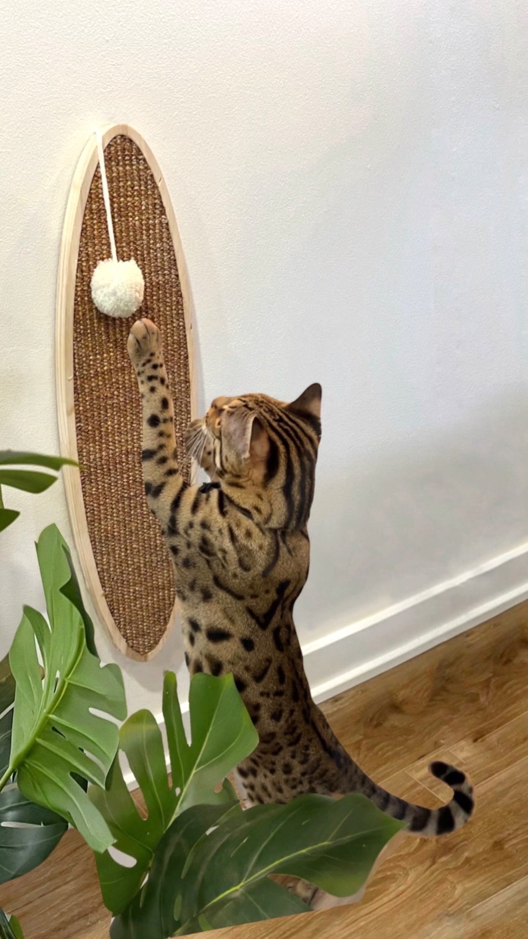 Wall-mounted Cat Scratching Post – Wooden Cat Scratcher With Natural ...