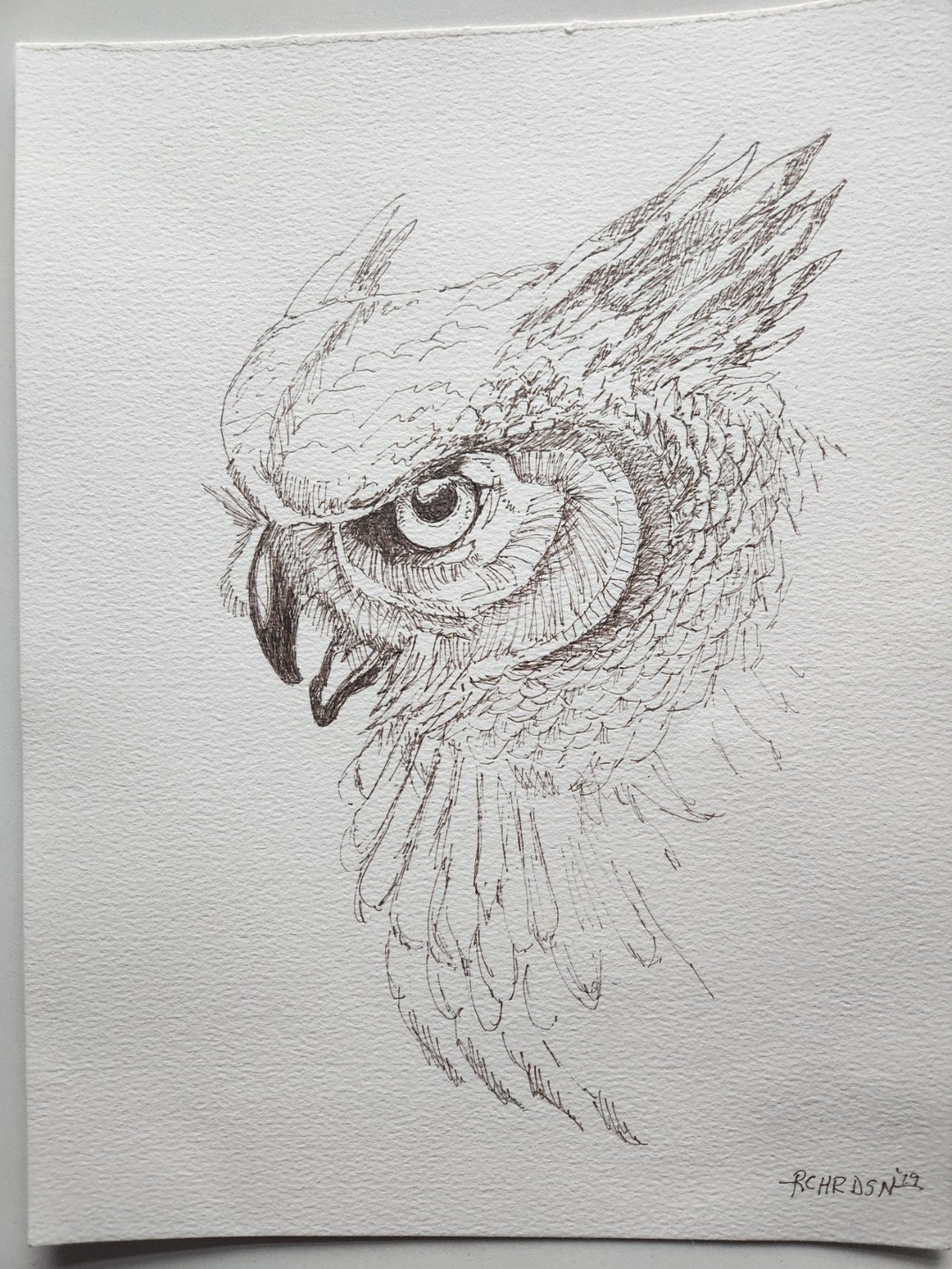 Original Pen and Ink Owl - Etsy