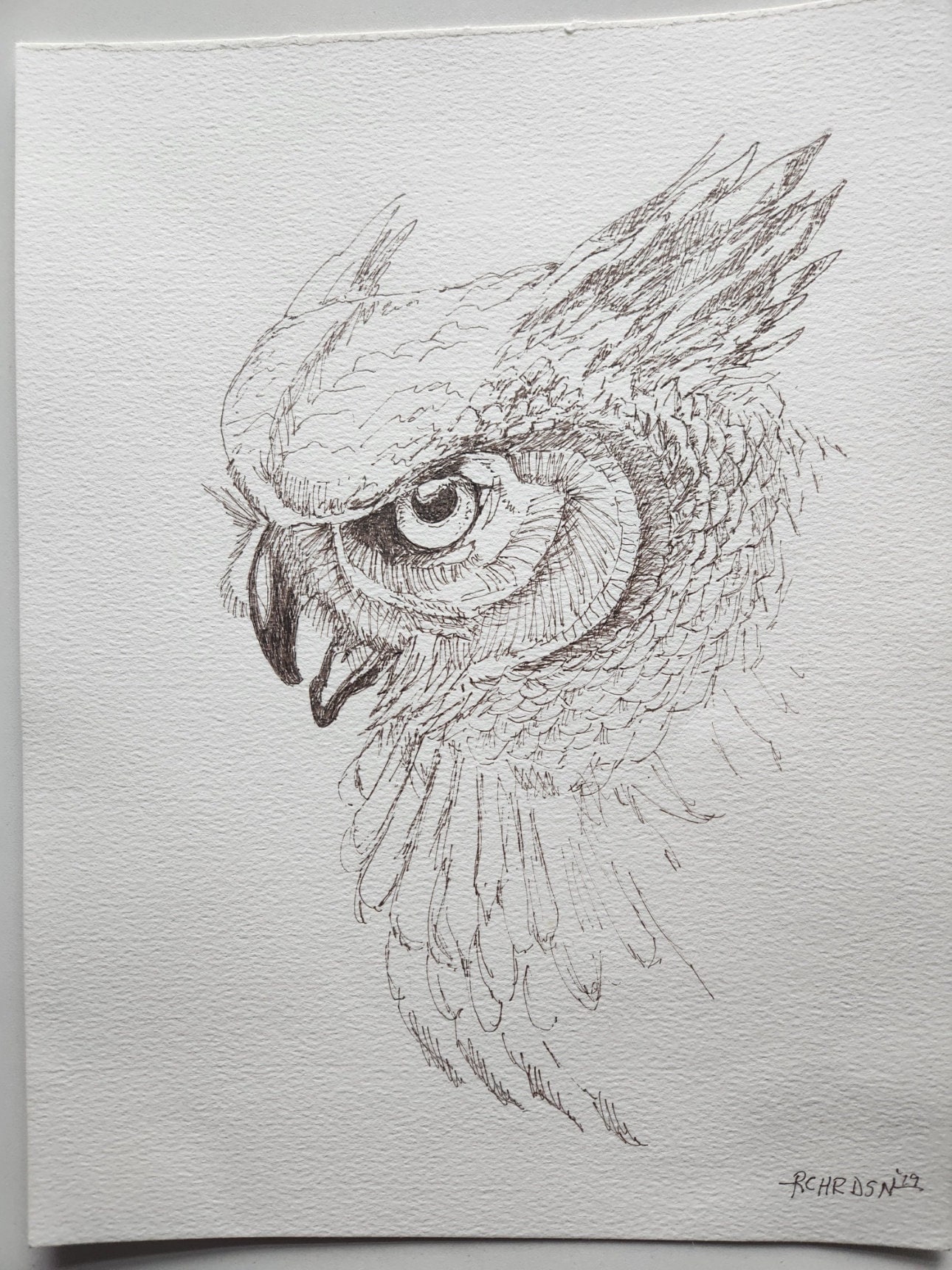 Original Pen and Ink Owl - Etsy