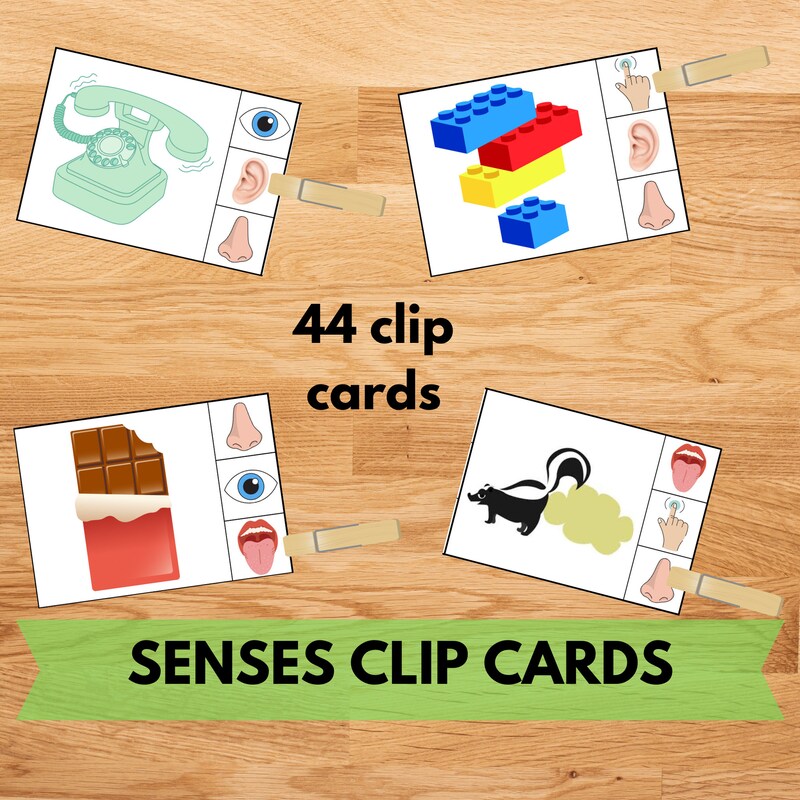 Five Senses Preschool - Etsy