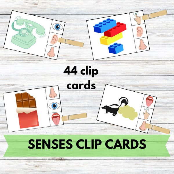 5 Senses - Etsy