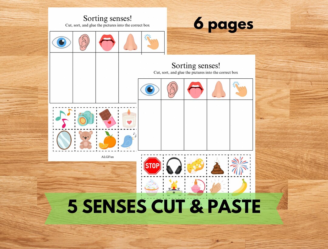5 Senses Cut and Paste Sorting Toddler Printable Activity. Perfect for ...