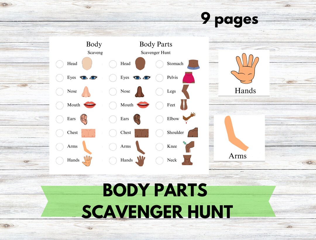 Human Body Parts Scavenger Hunt Printable, Human Anatomy Learning ...