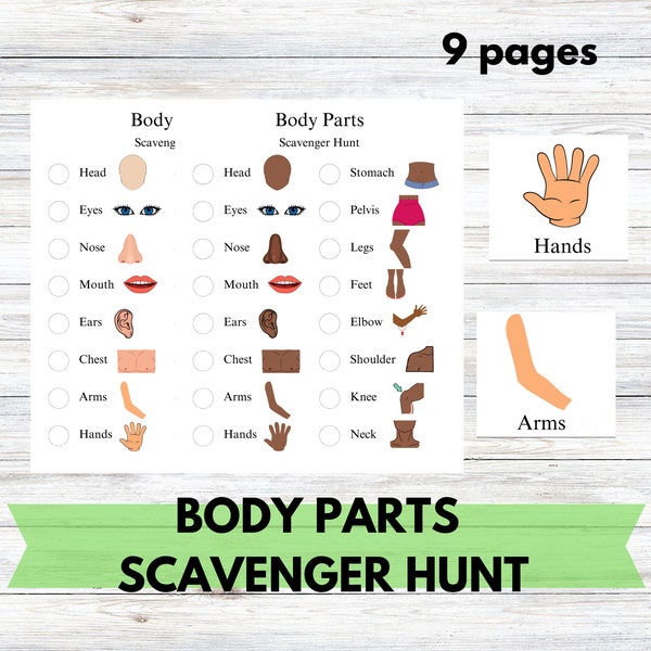 Human Body Book - Etsy