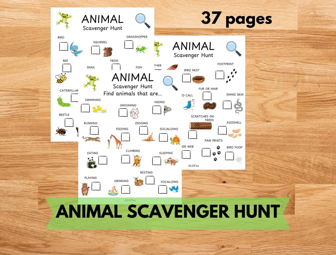 Animal Scavenger Hunt Outdoor Activity Toddler Printable Activity ...