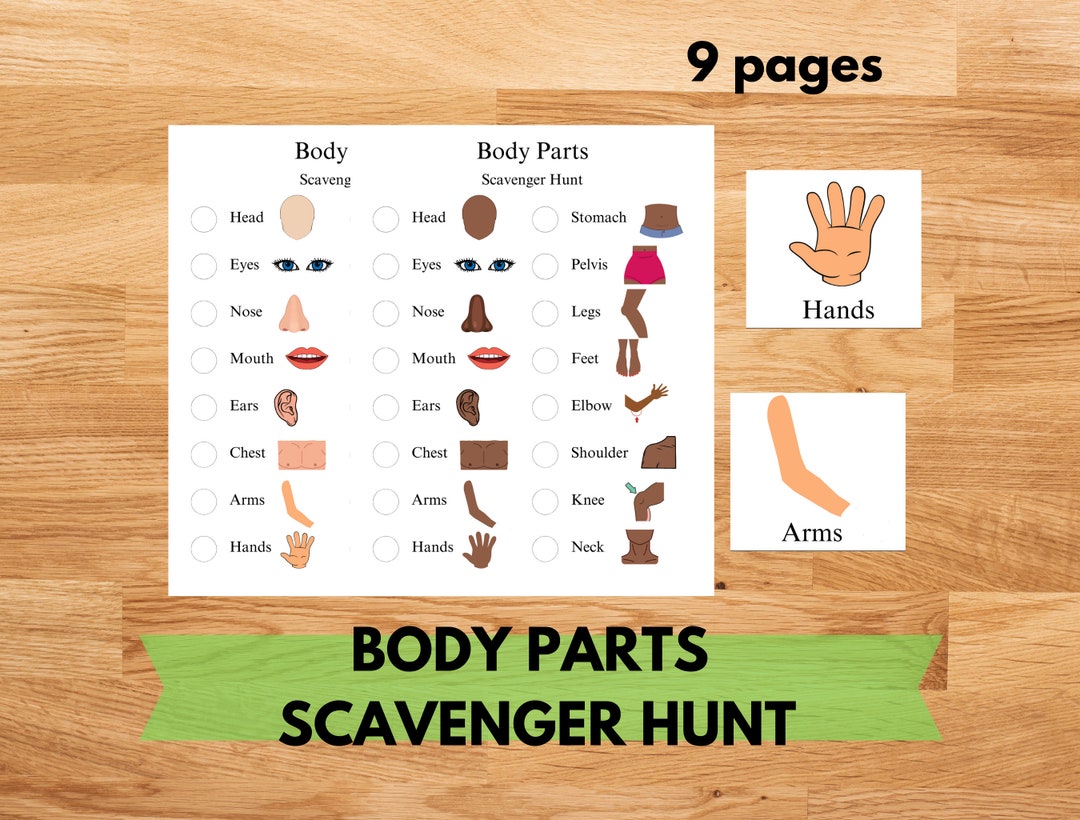 Human Body Parts Scavenger Hunt Toddler Printable Activity. Perfect for ...