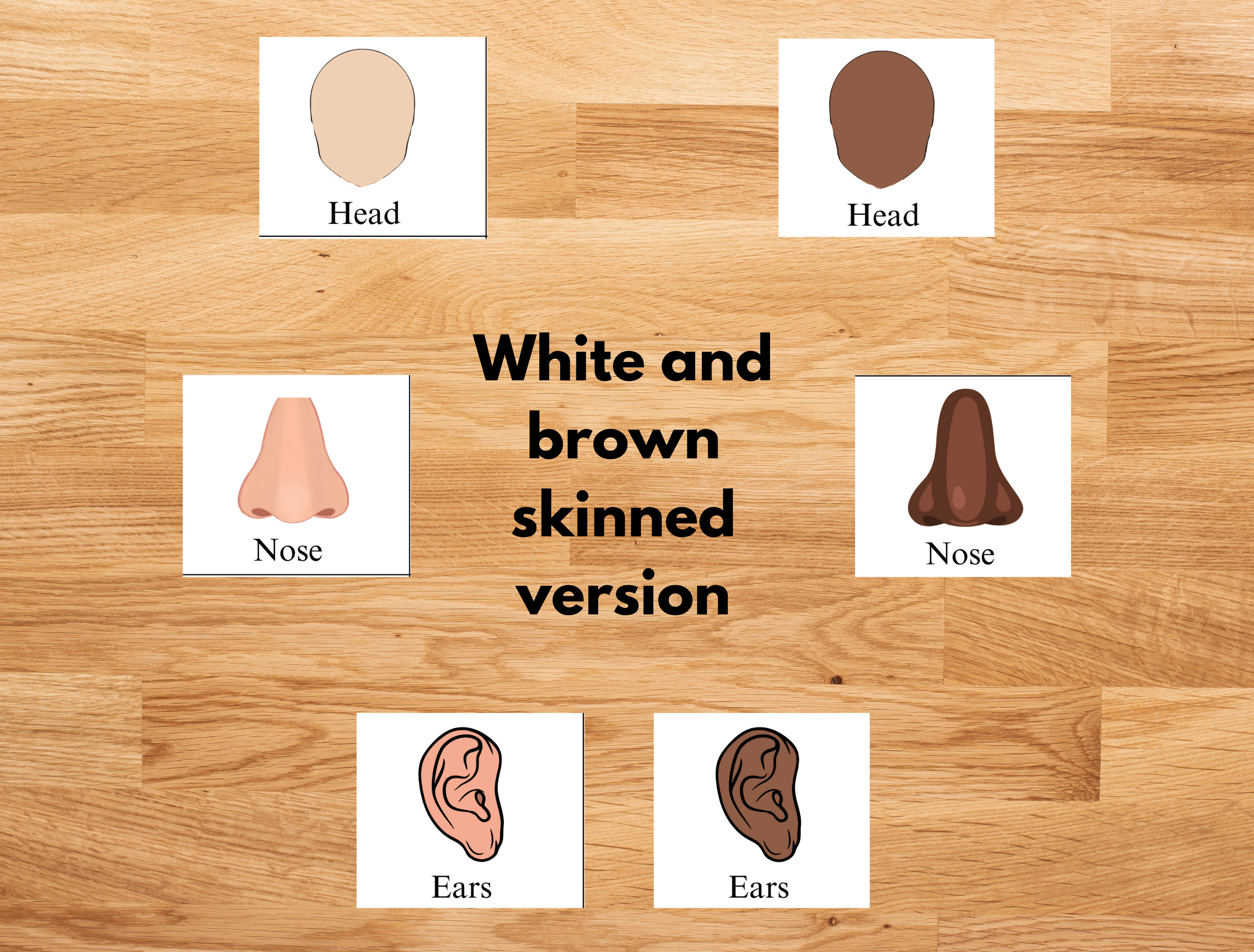 Human Body Parts Scavenger Hunt Printable, Human Anatomy Learning ...