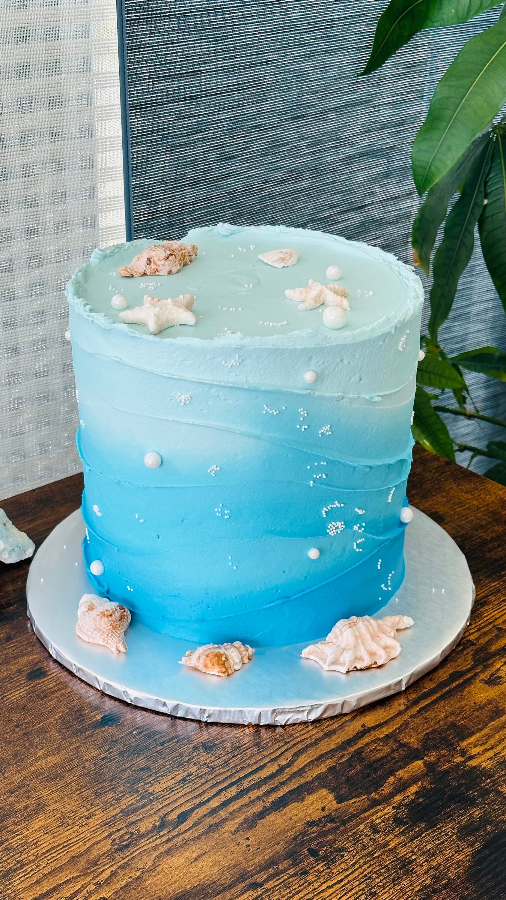 25 White Edible Fondant Seashell Set With Pearl Shimmer Finish - Etsy