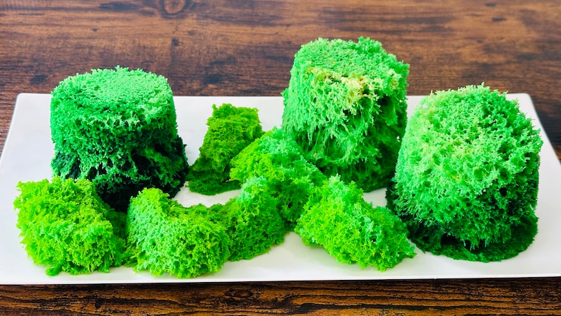 Cake Decorating Toppers Edible Moss or Corals. - Etsy