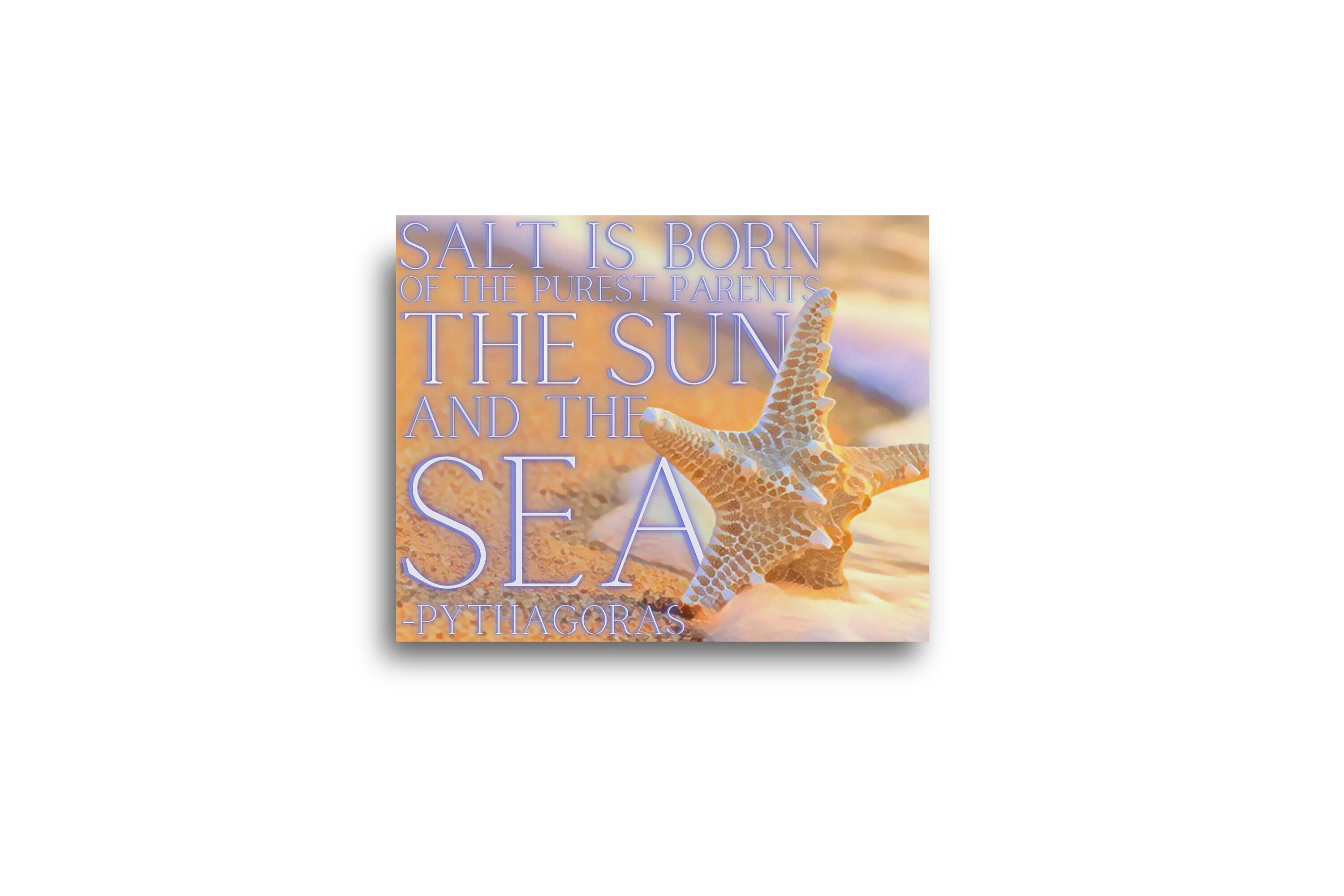 Mathematics Awareness Month, Famous Mathematician, Pythagoras Quotation ...