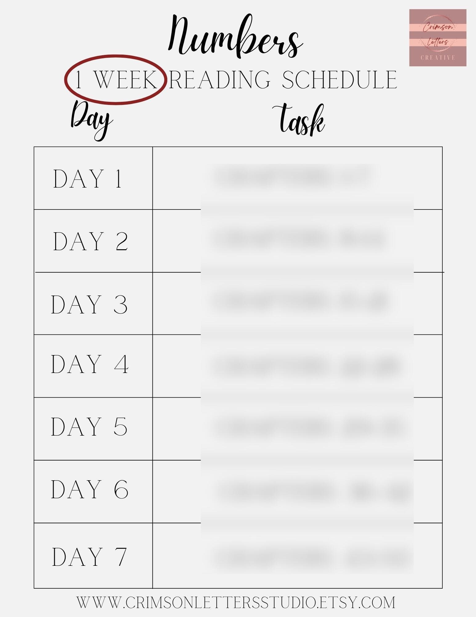 NUMBERS READING SCHEDULES Read at Your Own Pace Structured Bible ...