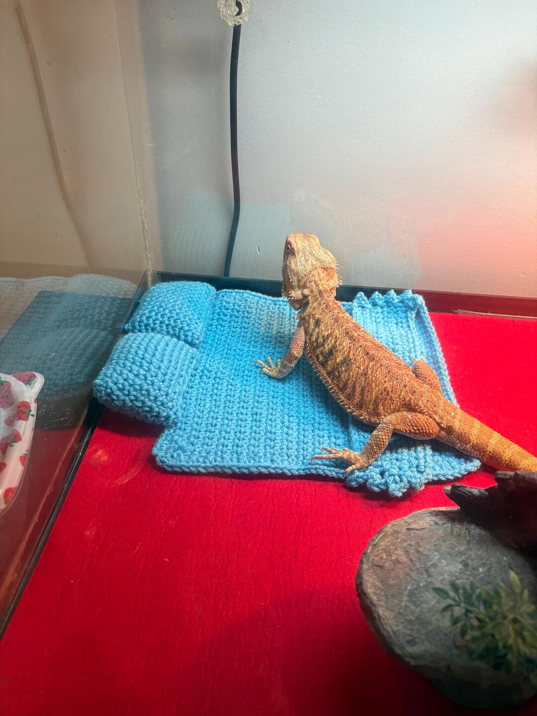 Blue Bearded Dragon Bedding Set - Etsy