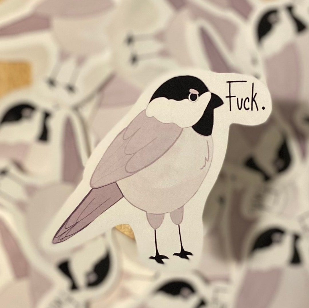 GLOSSY STICKER: Stylized Chickadee 'fuck' Sticker, Bird Sticker, Fuck ...