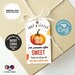 Editable Pumpkin Favor Tags | Autumn Treat for Someone Extra Sweet ...