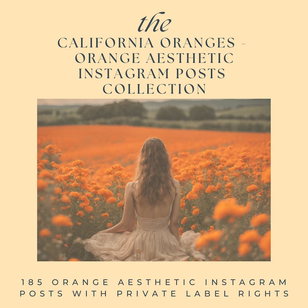 California Oranges Orange Aesthetic Instagram Post Content Bank - Etsy