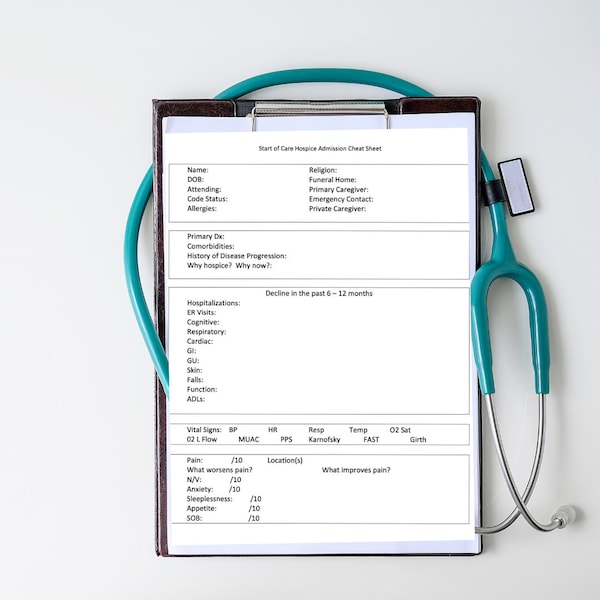 Hospice Visit Sheet - Etsy