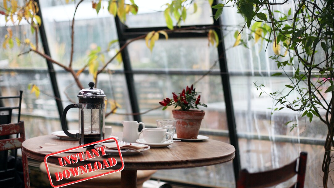 Cafe Backgrounds for Zoom Meeting Coffee Shop Zoom Virtual Background ...