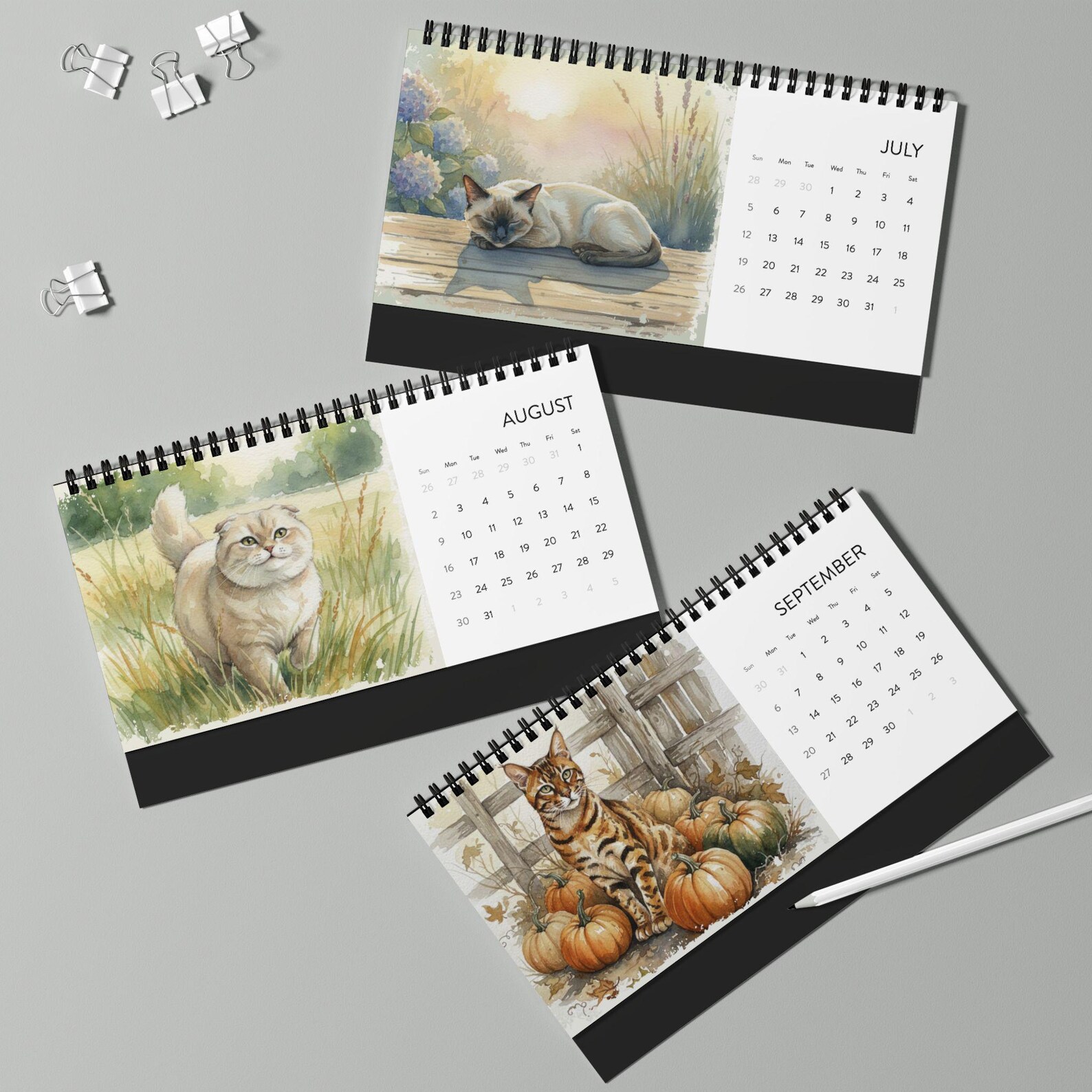 Cat Desk Calendar, Cubicle Decor, Relaxing Cats, 2026 Desk Calendar ...