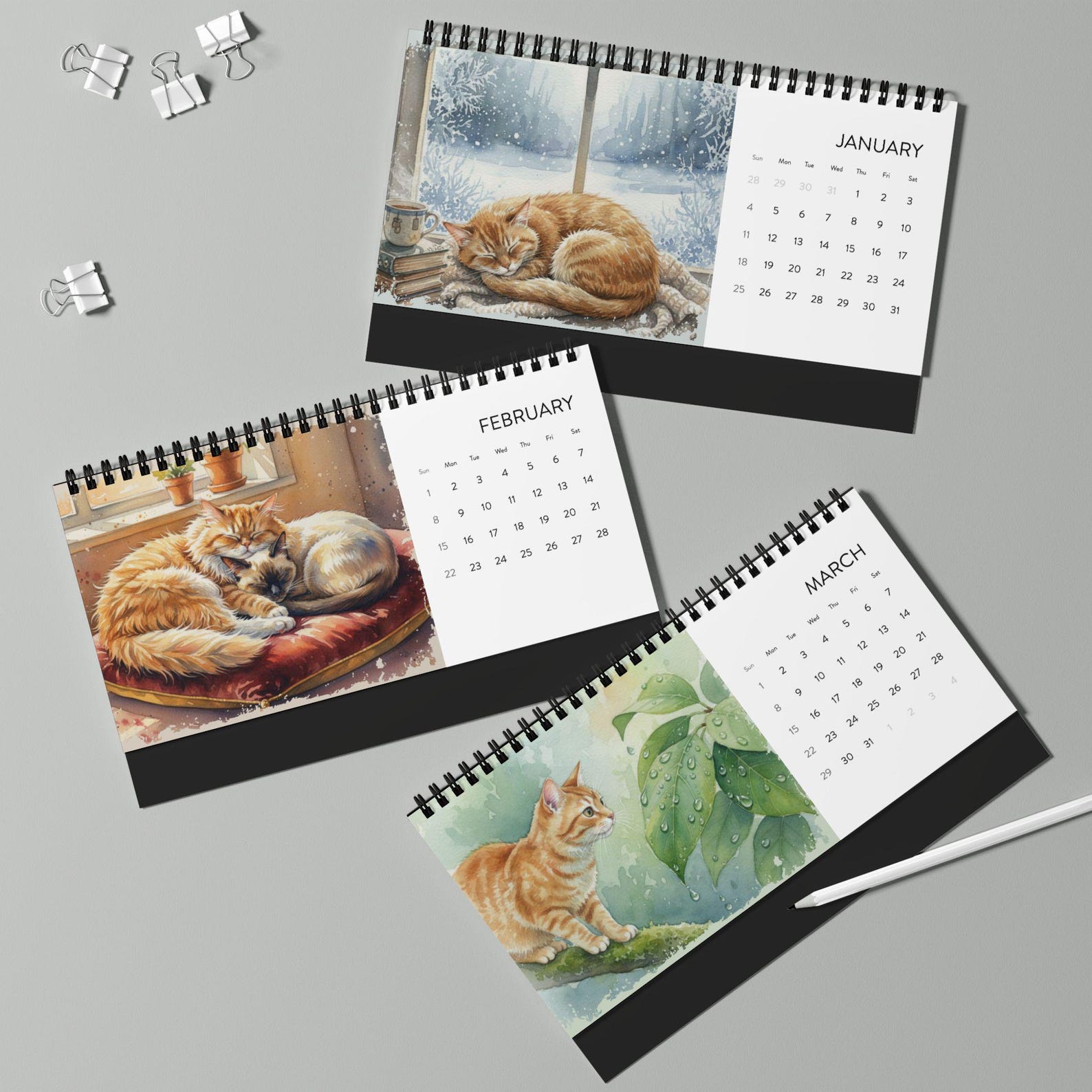 Cat Desk Calendar, Cubicle Decor, Relaxing Cats, 2026 Desk Calendar ...