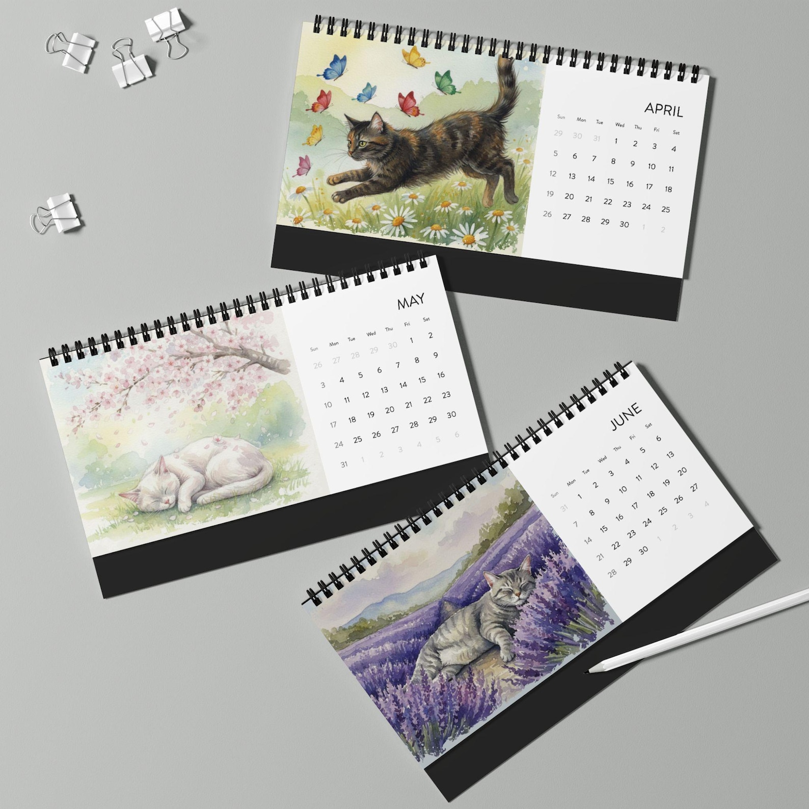 Cat Desk Calendar, Cubicle Decor, Relaxing Cats, 2026 Desk Calendar ...