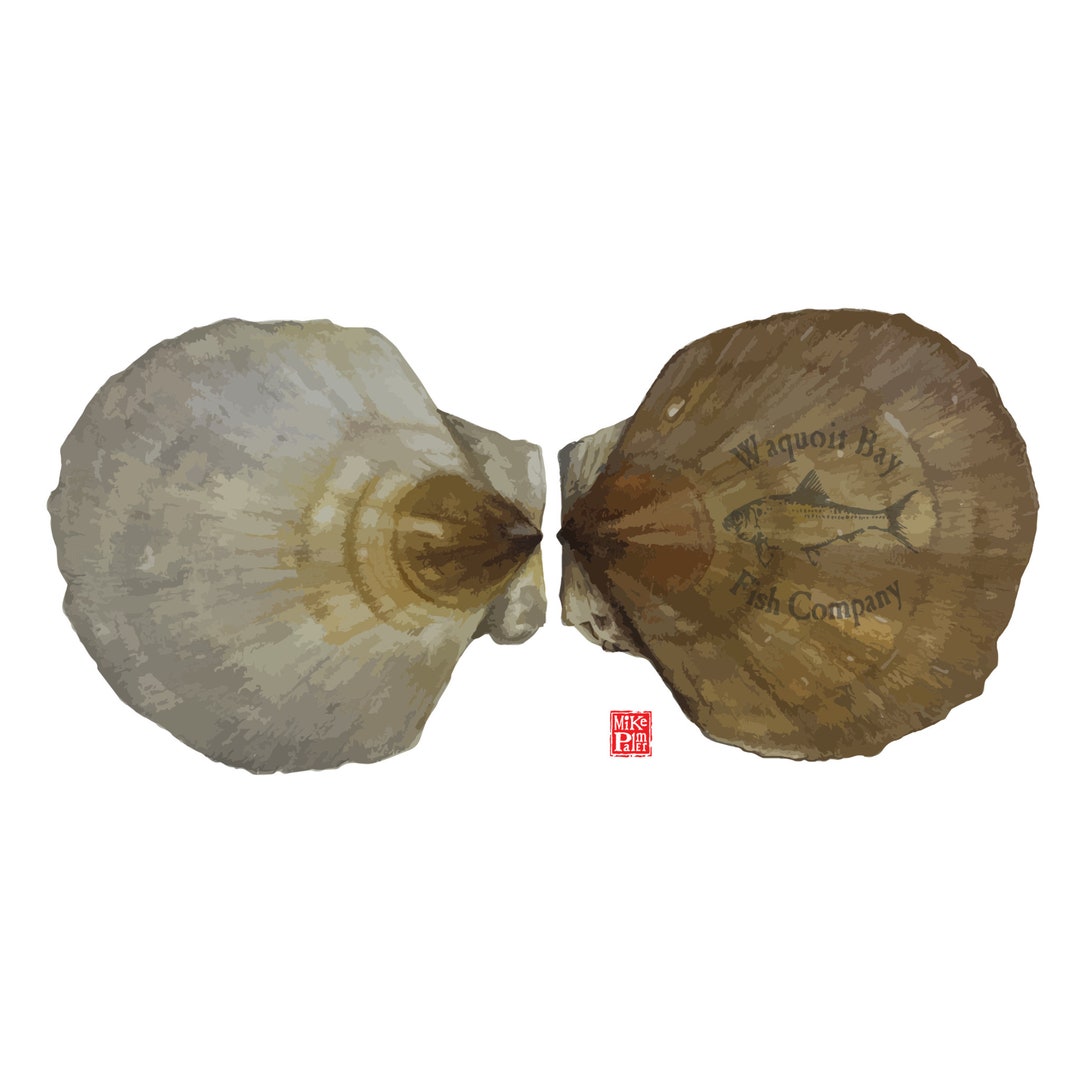 Sea Scallop Vector Art, Fish Vector Art, Shellfish, Sea Scallop Art ...